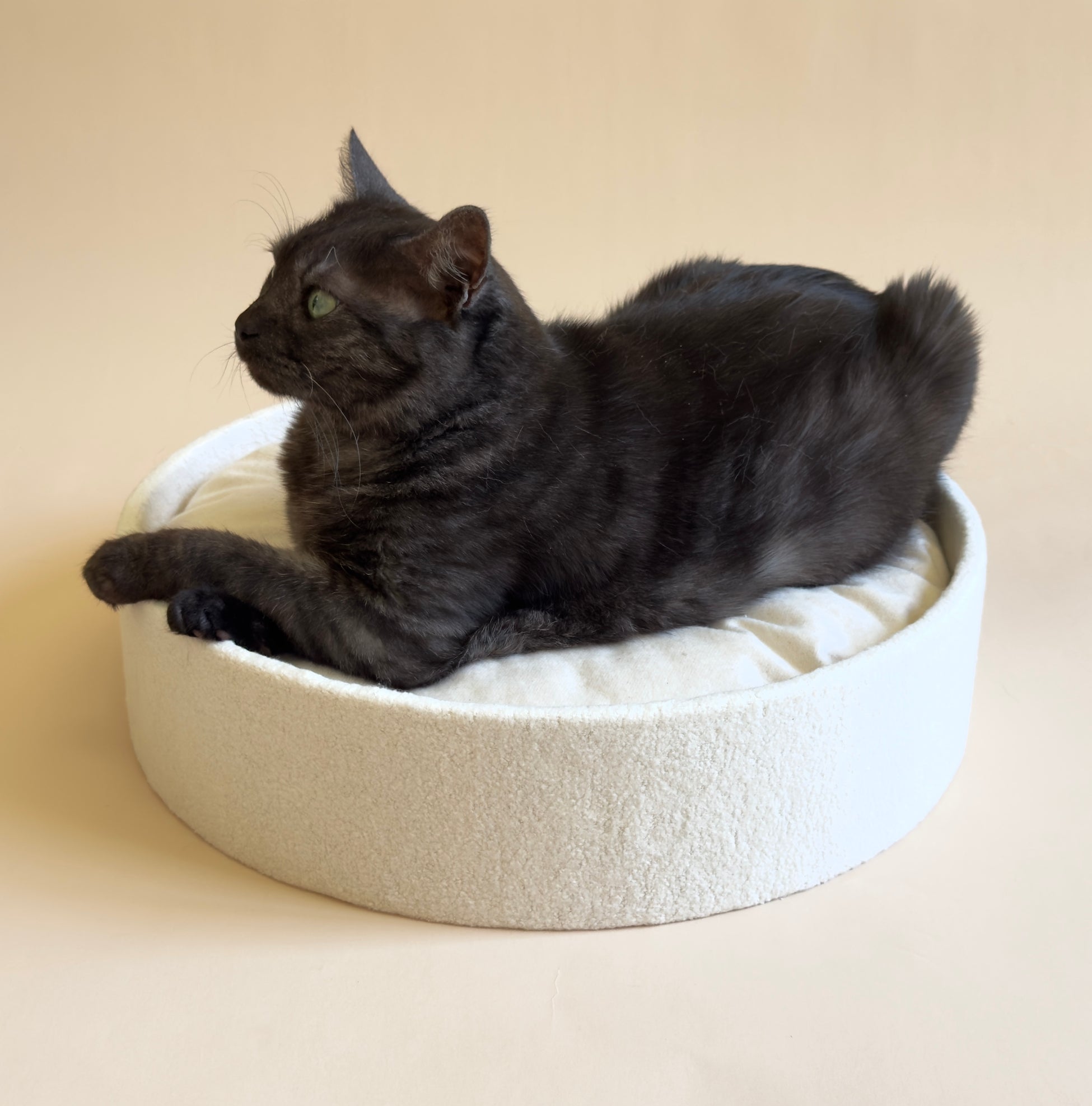 Nido - Modern Cat Bed – CatsEssentials